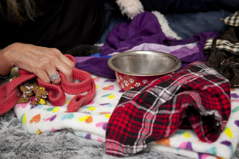 What Happens to Your Pet When You’re Arrested? - The Bail Project